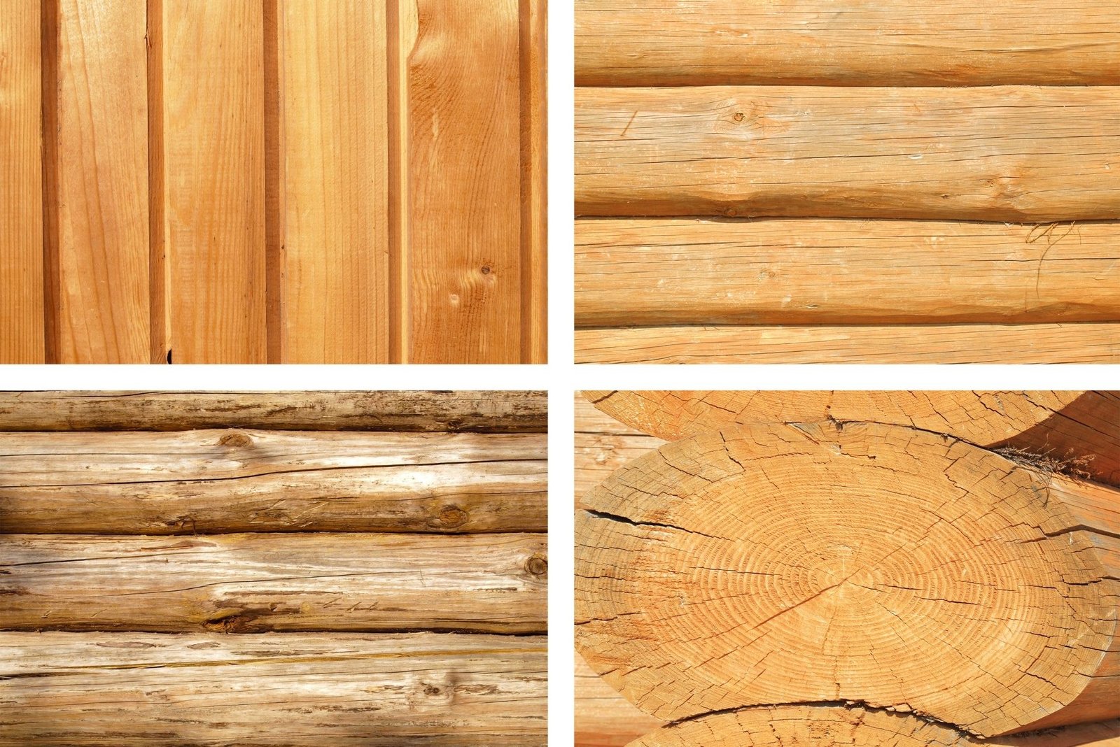 Ultimate Guide To Timber Retaining Walls NZ